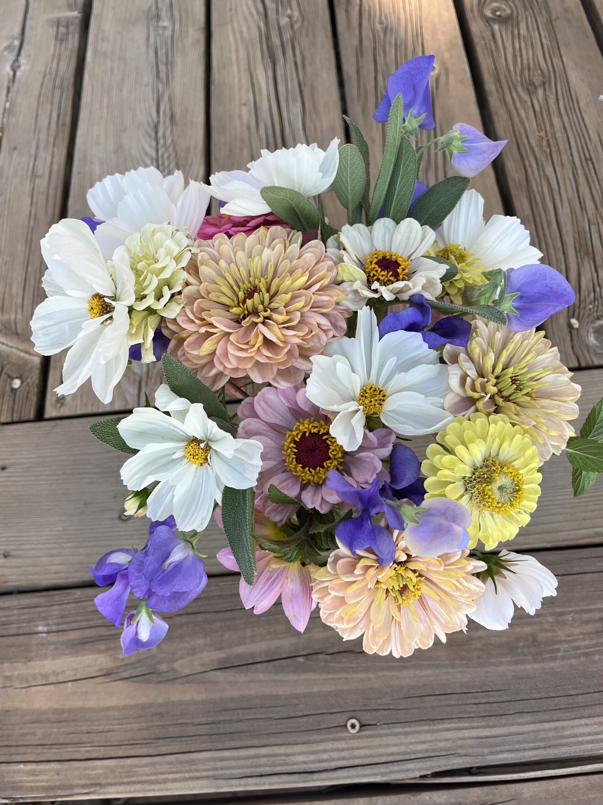 Home Gardening - Beth's Flower Farm